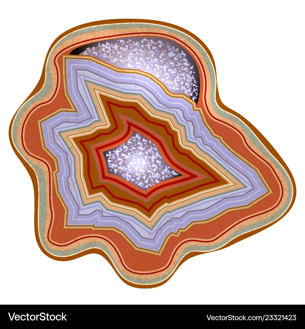 Agate Stone Slice Mineral Section Royalty Free Vector Image