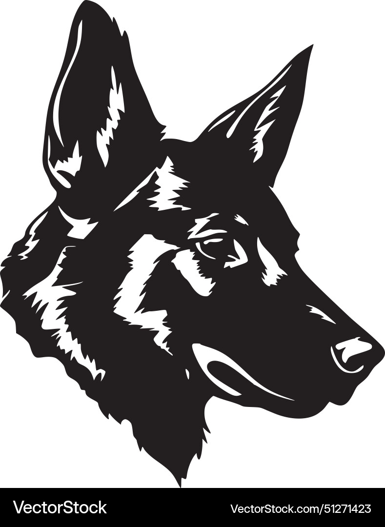 Australian kelpie - high quality logo ideal Vector Image
