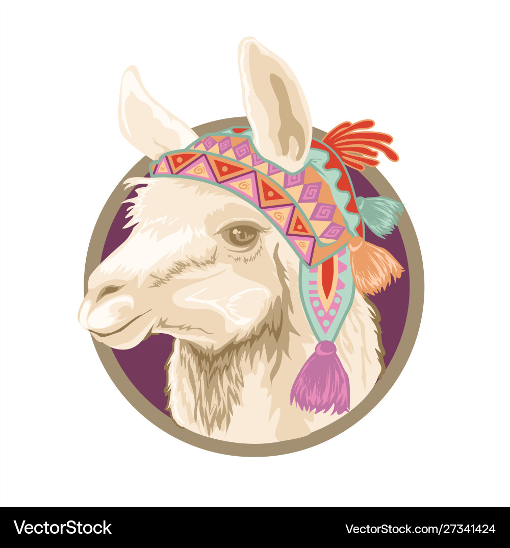 Alpaca Royalty Free Vector Image - VectorStock