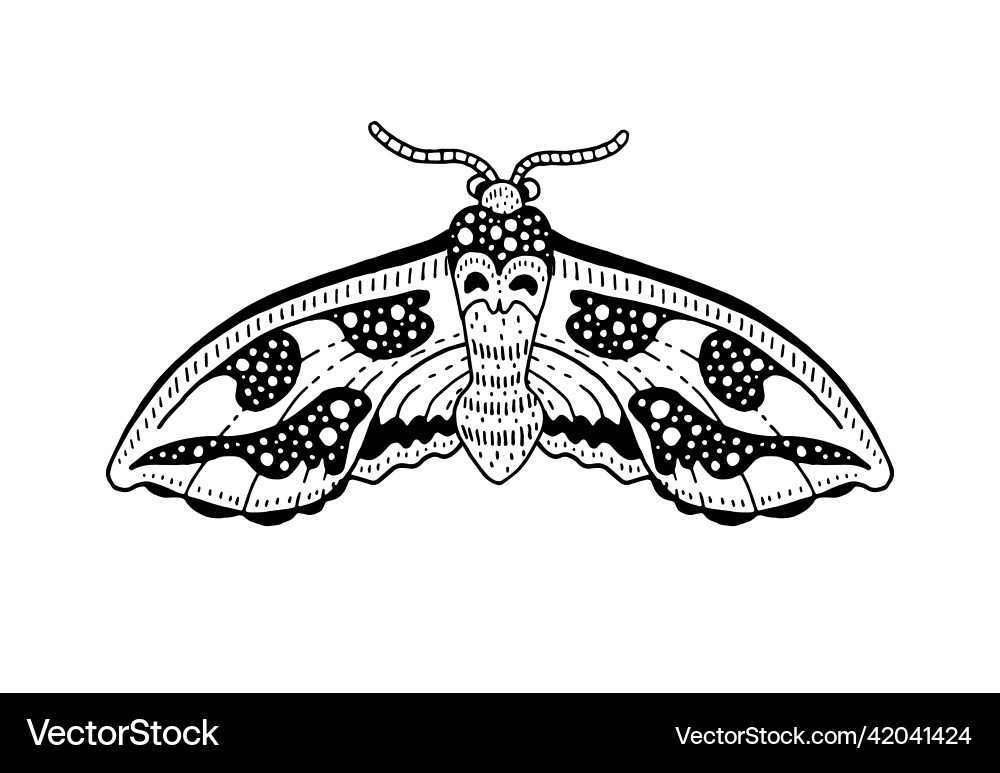 Moth tattoo butterfly black art universe Vector Image