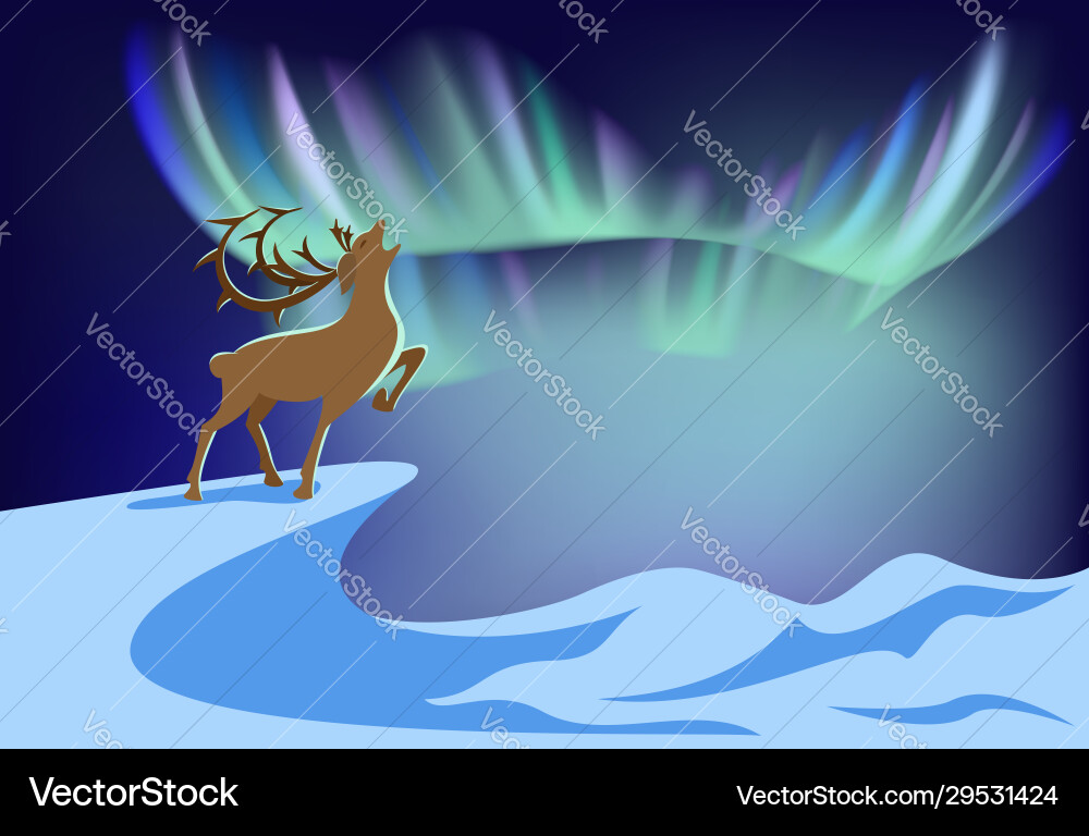 Northern lights Royalty Free Vector Image - VectorStock
