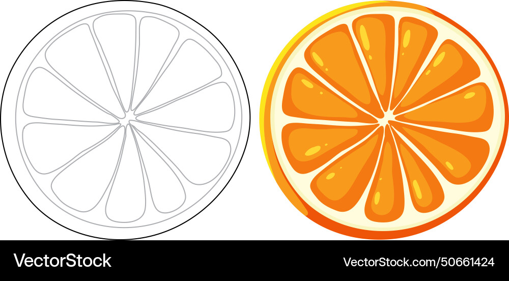 Orange in two different styles Royalty Free Vector Image