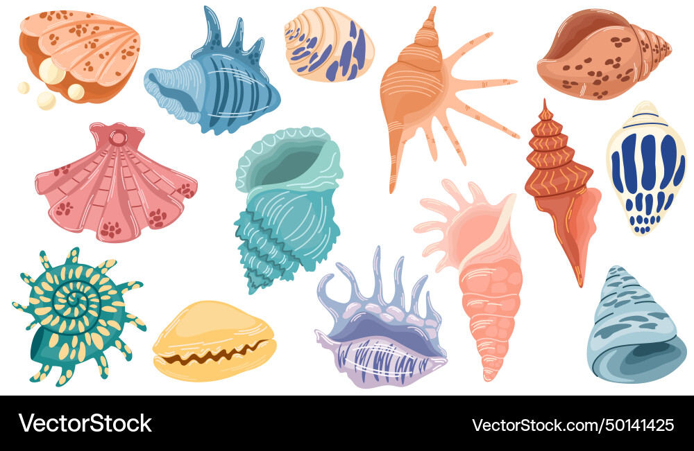 1486 seashells Royalty Free Vector Image - VectorStock