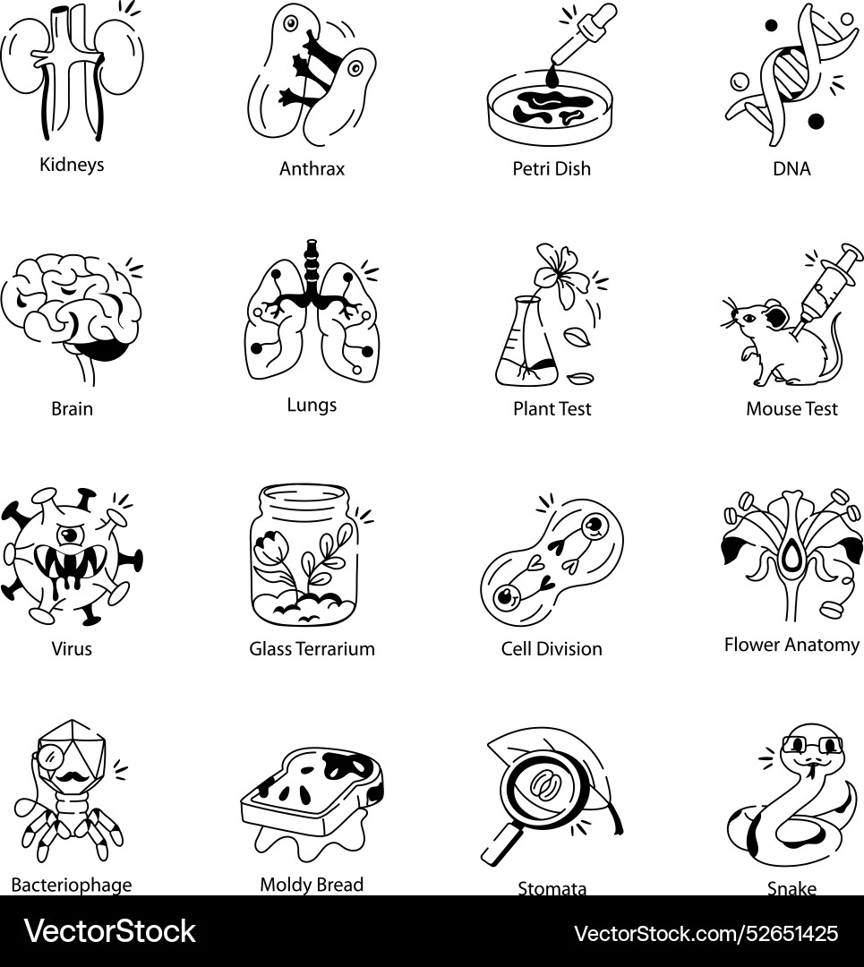 Collection of 16 anatomy and testing doodle icons Vector Image