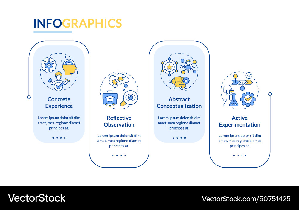Kolbs experiential theory rectangle infographic Vector Image