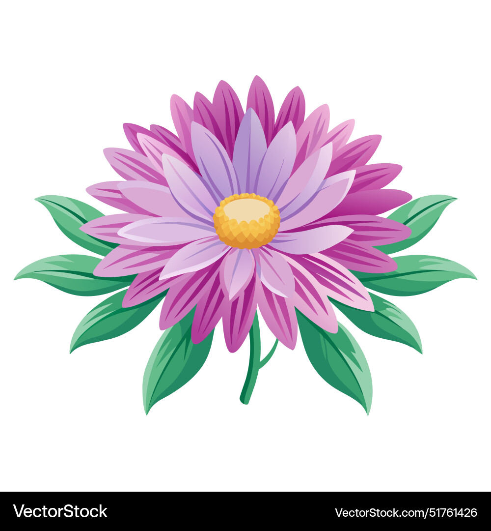 Aster flower flat Royalty Free Vector Image - VectorStock