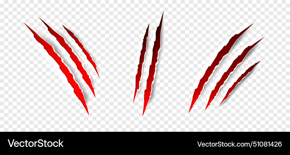 Claws scratches - isolated Royalty Free Vector Image