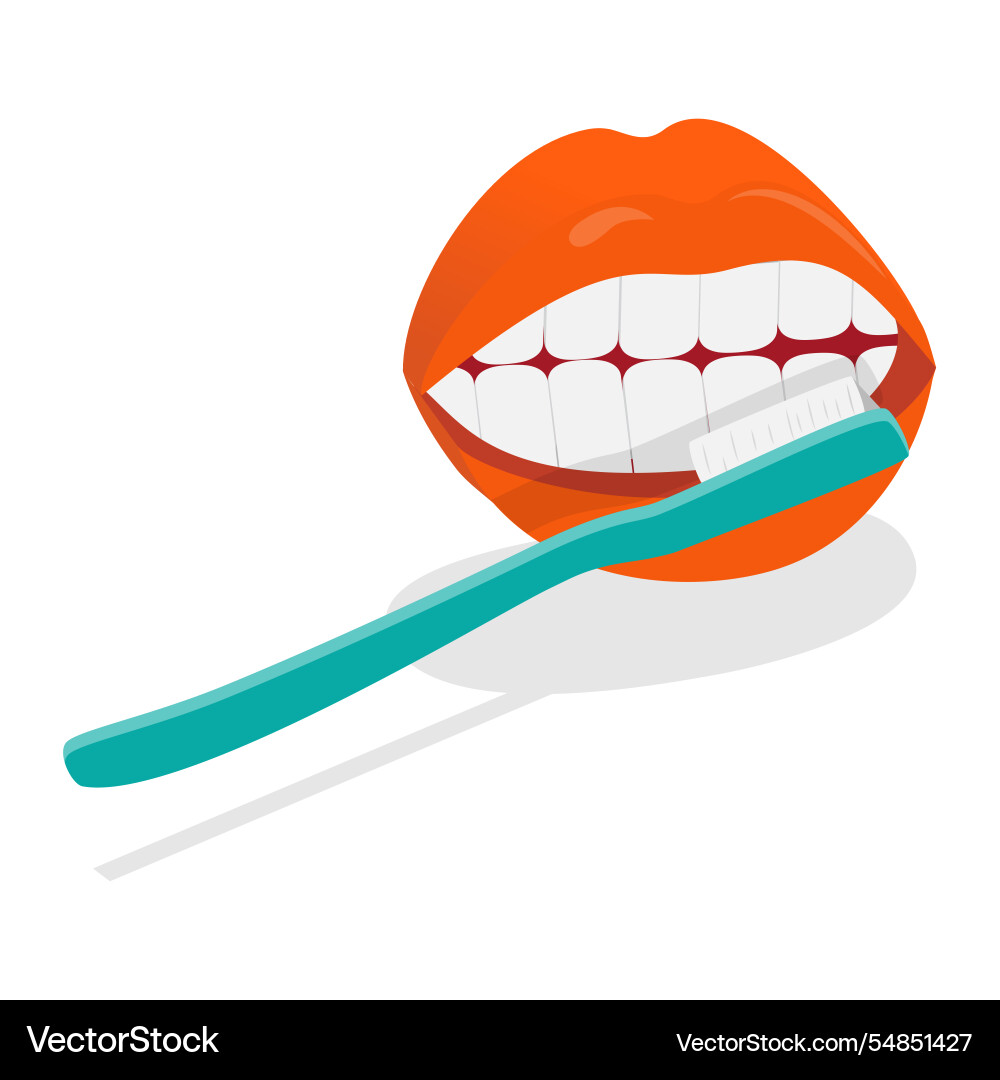 3d isometric flat of teeth Royalty Free Vector Image