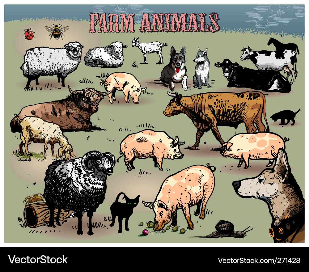 Farm animals Royalty Free Vector Image - VectorStock
