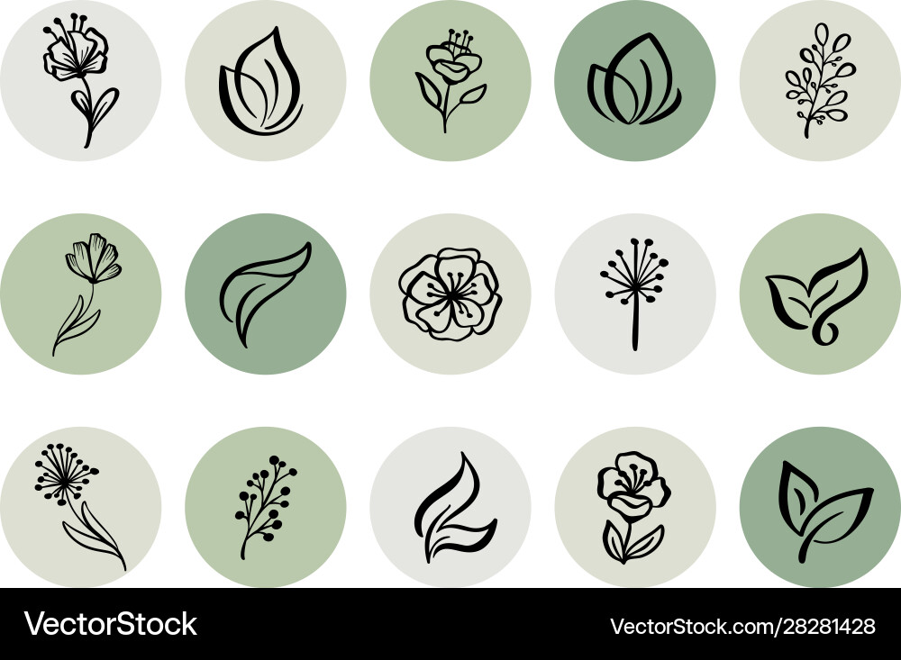 Green highlight cover icon story Royalty Free Vector Image