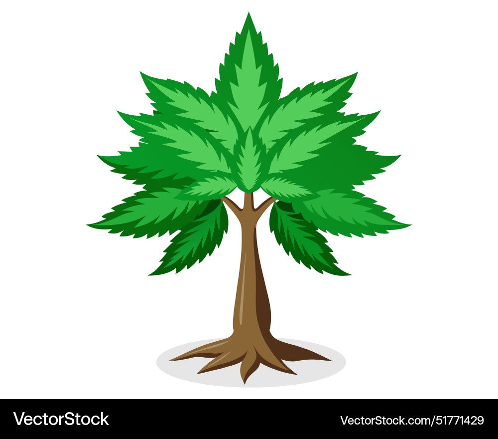 Cannabis tree isolated flat on white background Vector Image