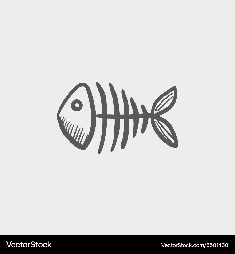 Fish Skeleton Icon - Sketch Royalty Free Vector Image