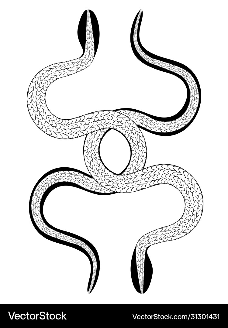 Gothic two symmetric entwined snakes Royalty Free Vector