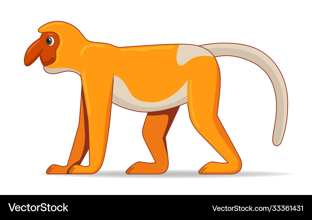 Proboscis monkey animal standing on a white Vector Image