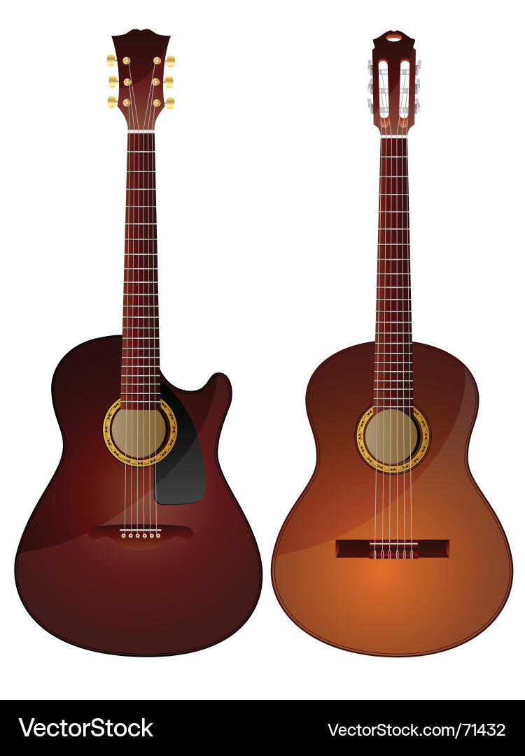 Acoustic guitars Royalty Free Vector Image - VectorStock