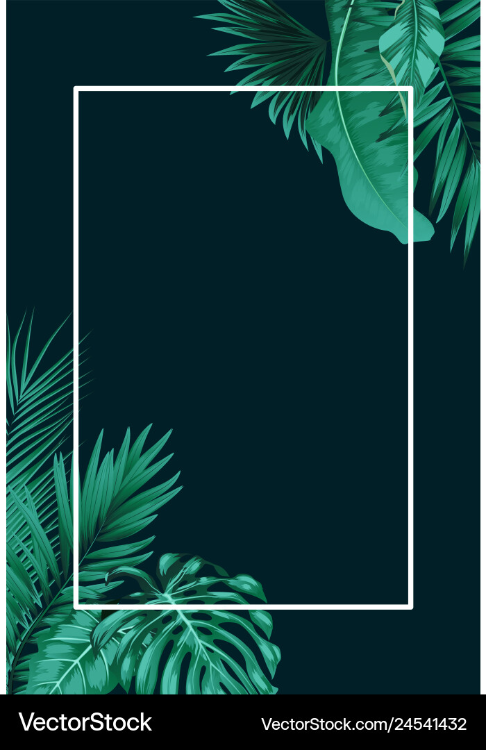 Tropical forest with square frame on black Vector Image