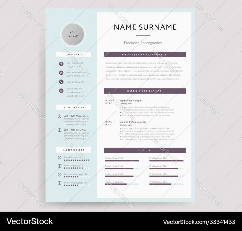 Professionelle cv wieder Muster Muster Lizenzfreier Vektor