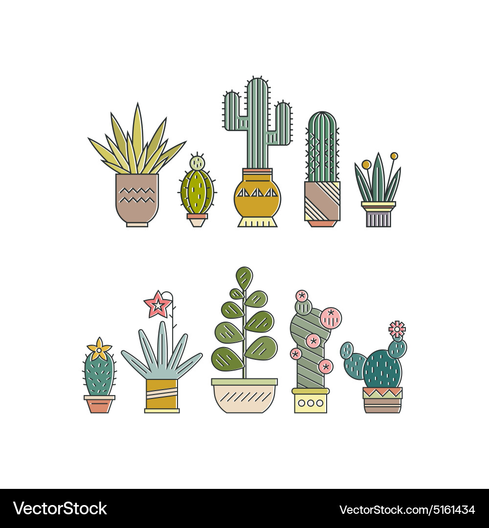 Cactus Royalty Free Vector Image - VectorStock