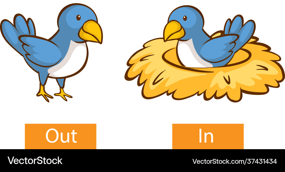 Opposite preposition words with in and out Vector Image