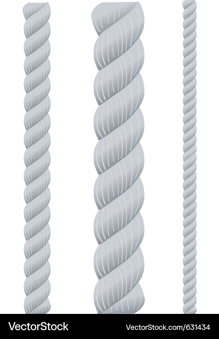Set of ropes Royalty Free Vector Image - VectorStock