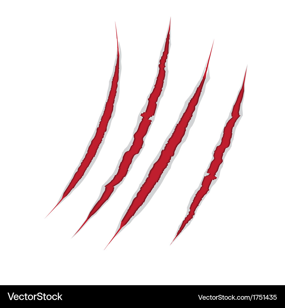 Claws scratch on paper background damage Vector Image