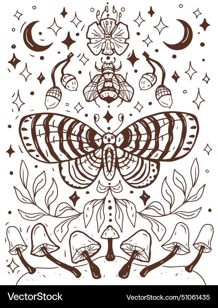 Mushrooms mystical magical graphics hand drawn Vector Image