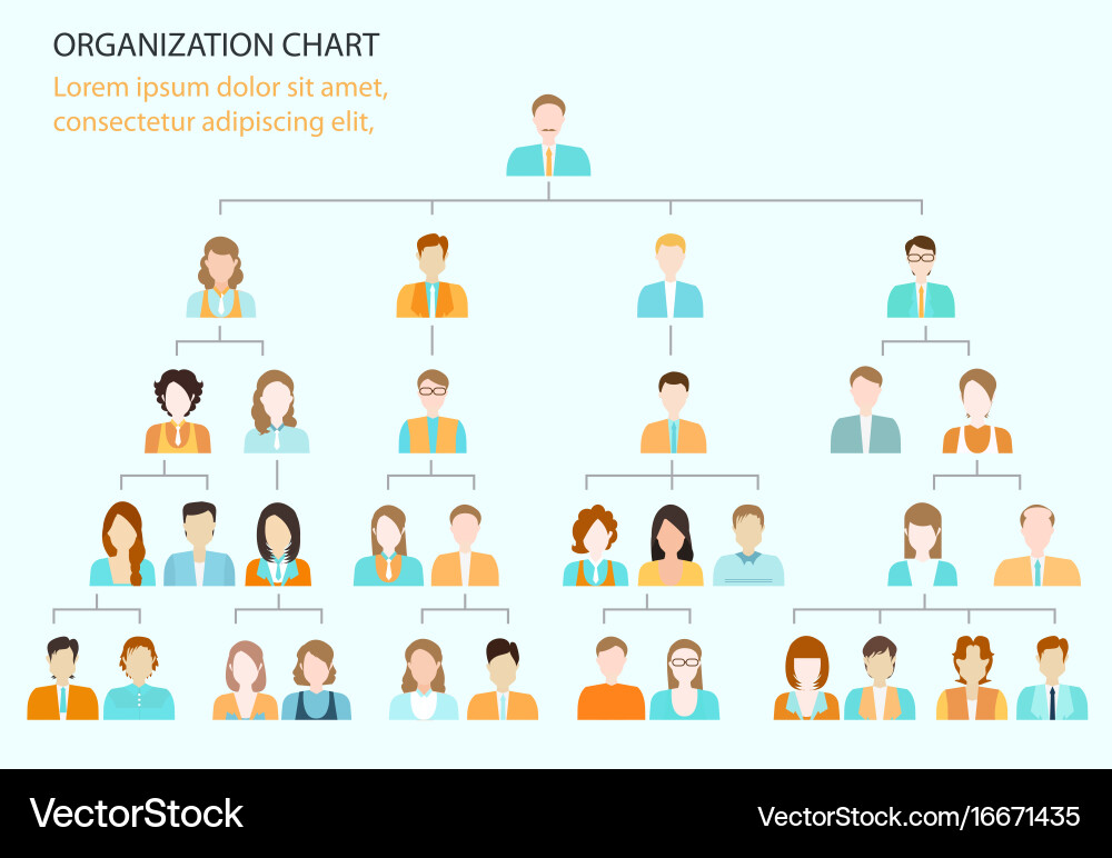 Organizational chart corporate business hierarchy Vector Image