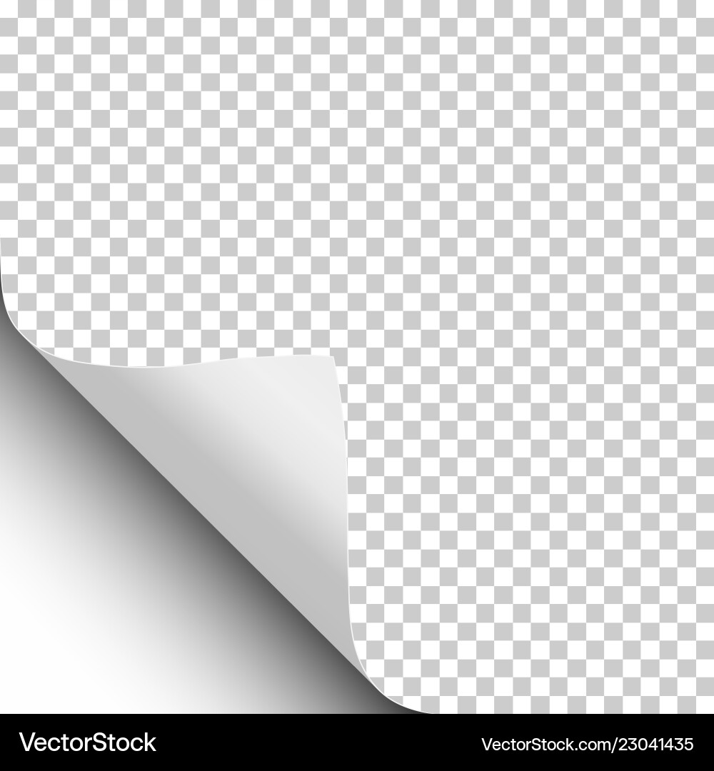 Sheet of white paper with curled corner soft Vector Image
