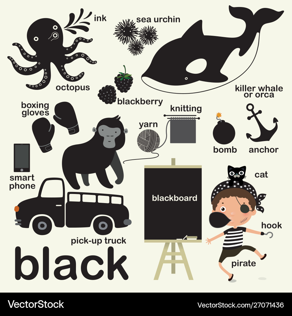Black colors learn for preschool english vocabul Vector Image