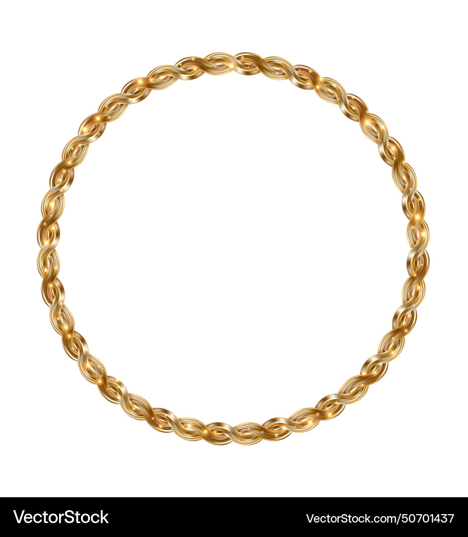 Gold twisted braided chain frame elegant thin Vector Image