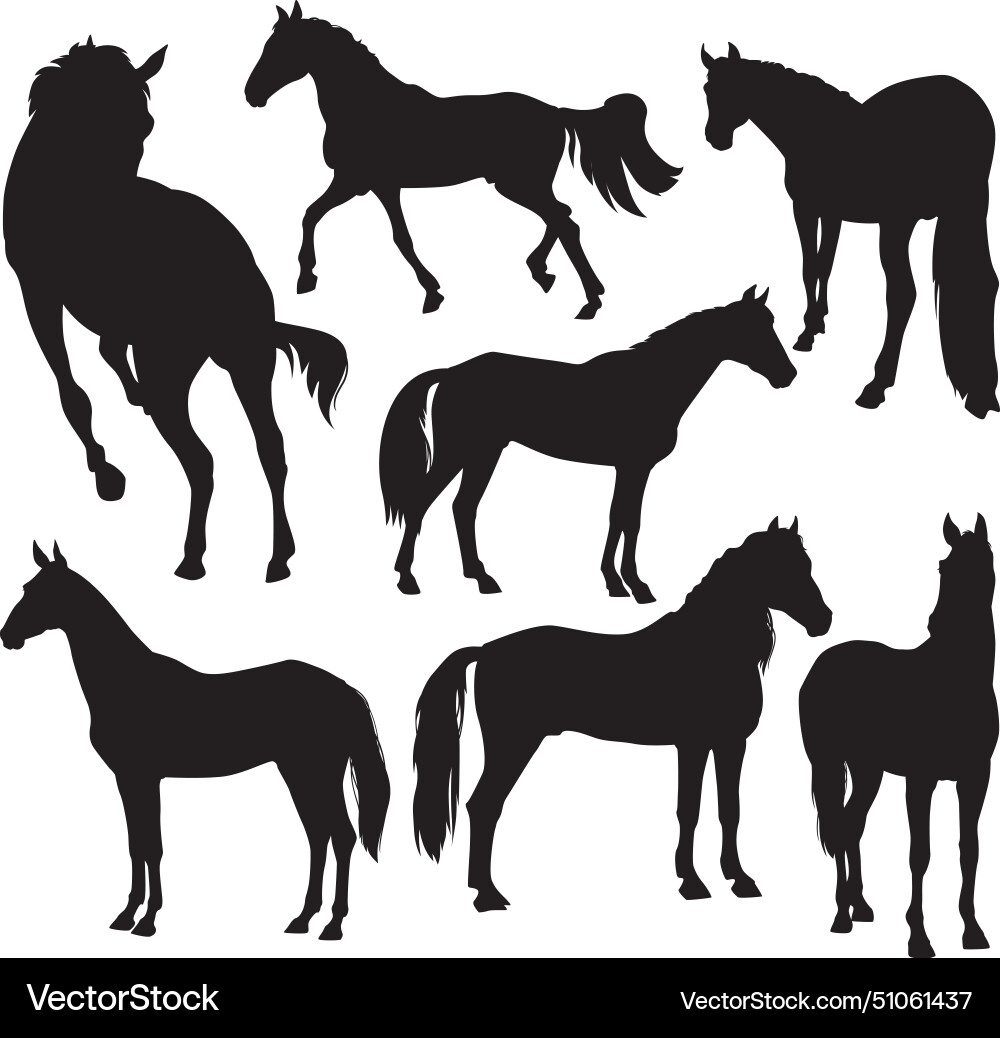 Horses Royalty Free Vector Image - VectorStock