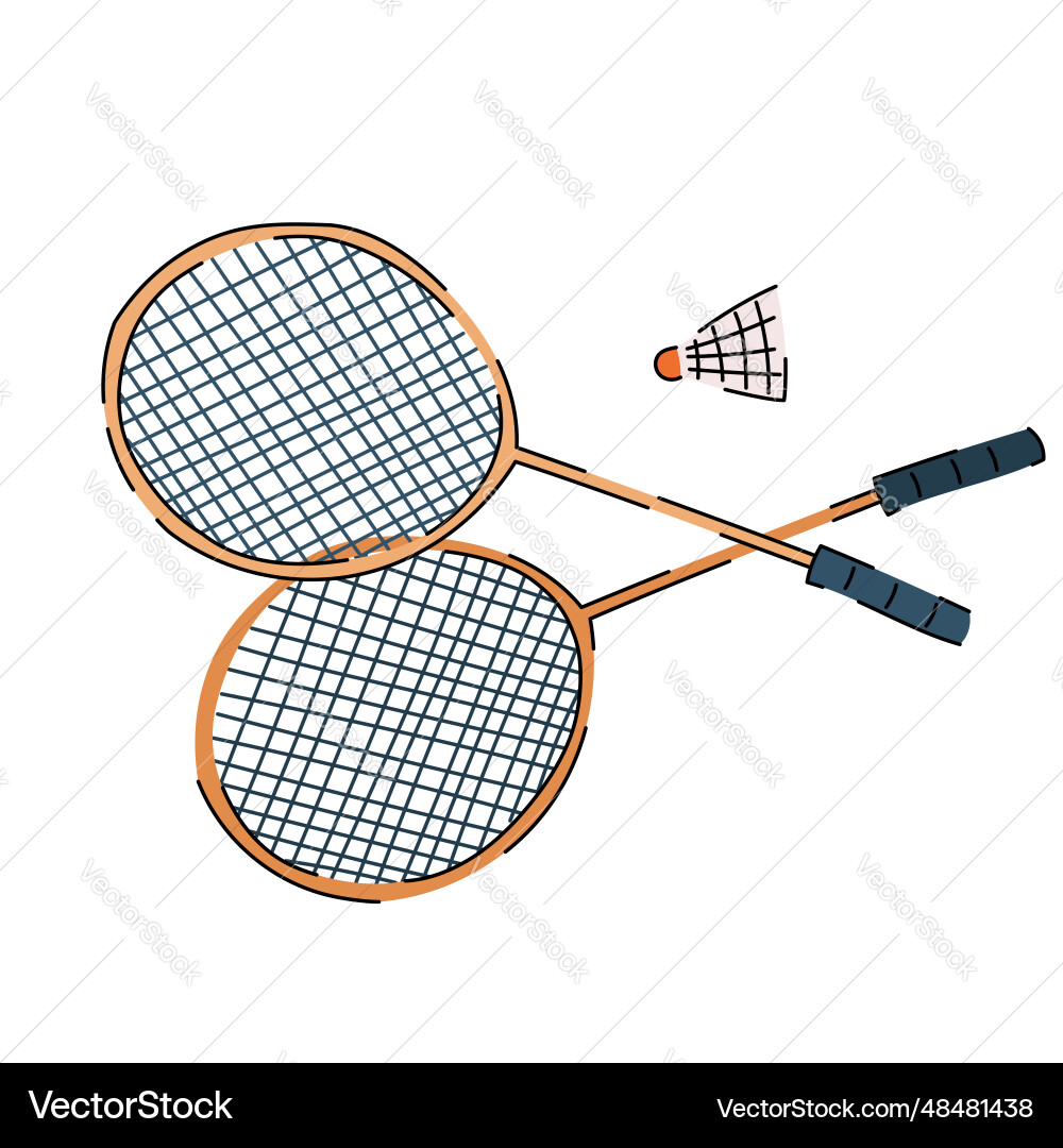 Badminton racket and shuttlecock sport equipment Vector Image