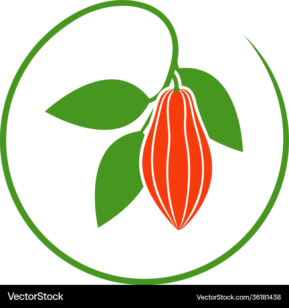 Cocoa Royalty Free Vector Image - VectorStock