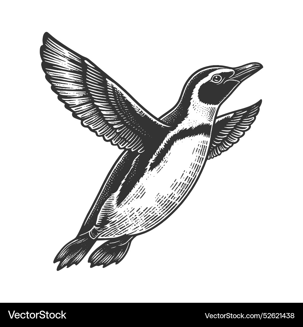Flying penguin engraving Royalty Free Vector Image