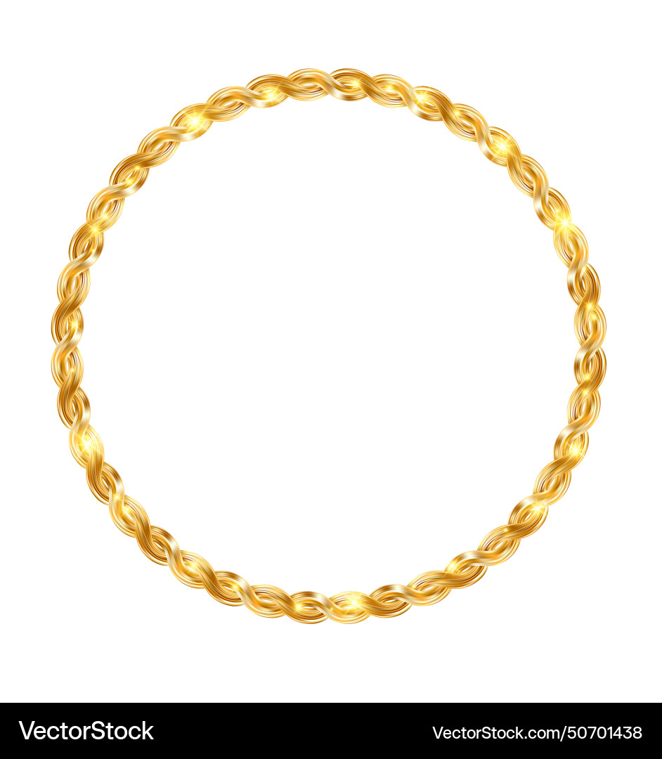 Gold twisted braided chain frame elegant thin Vector Image