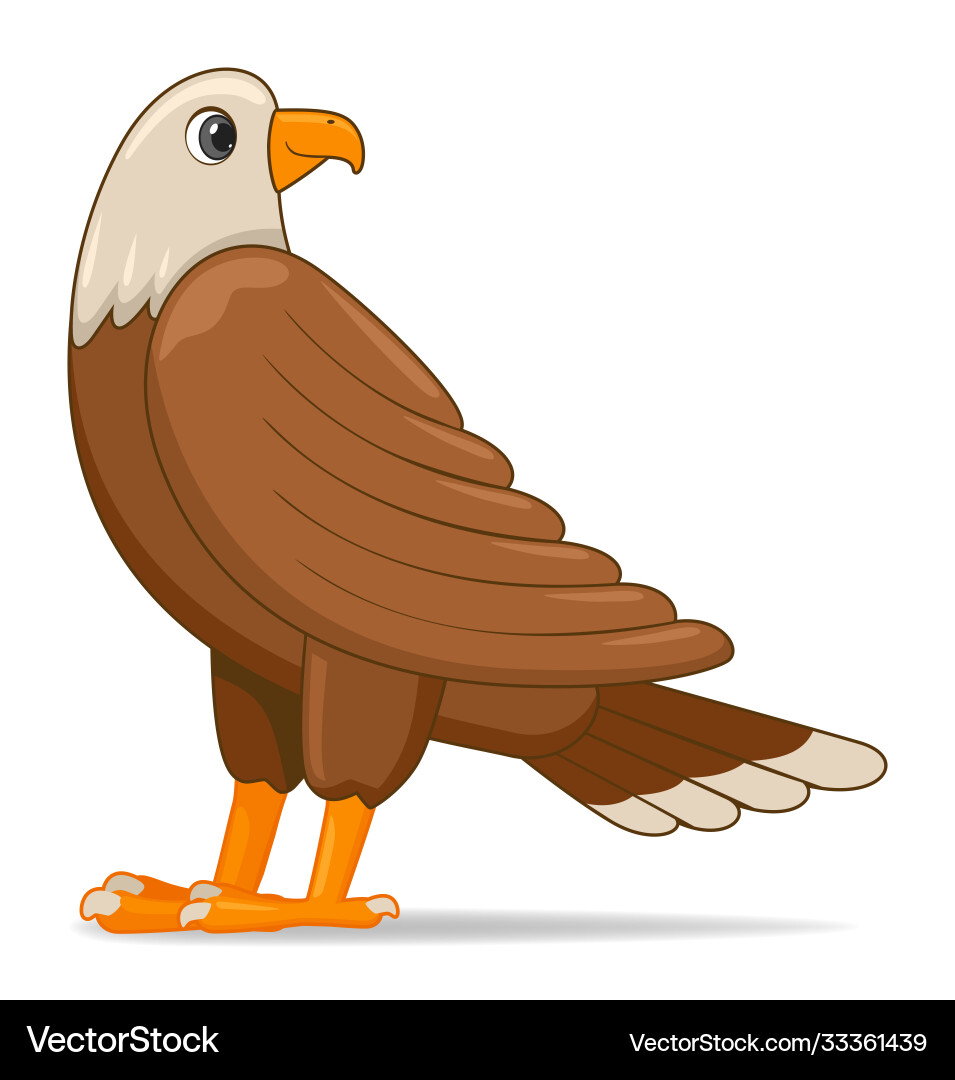 Bald eagle bird on a white background Royalty Free Vector