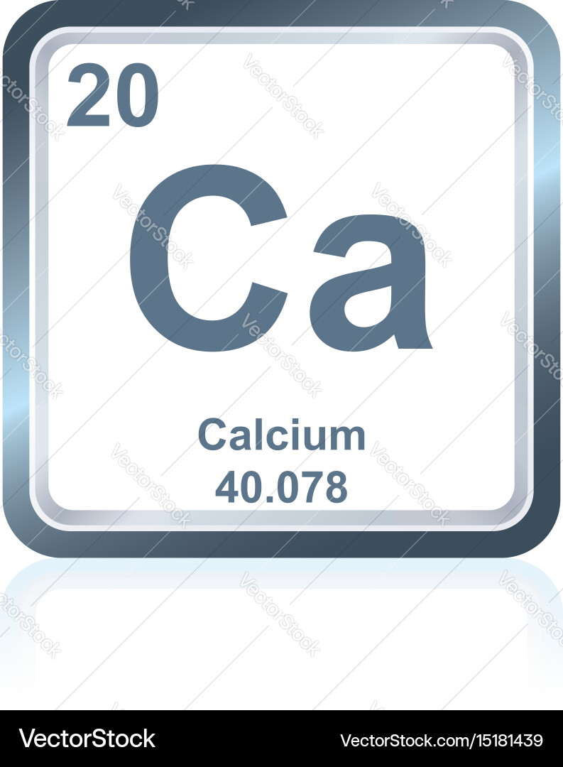 Chemical element calcium from the periodic table Vector Image