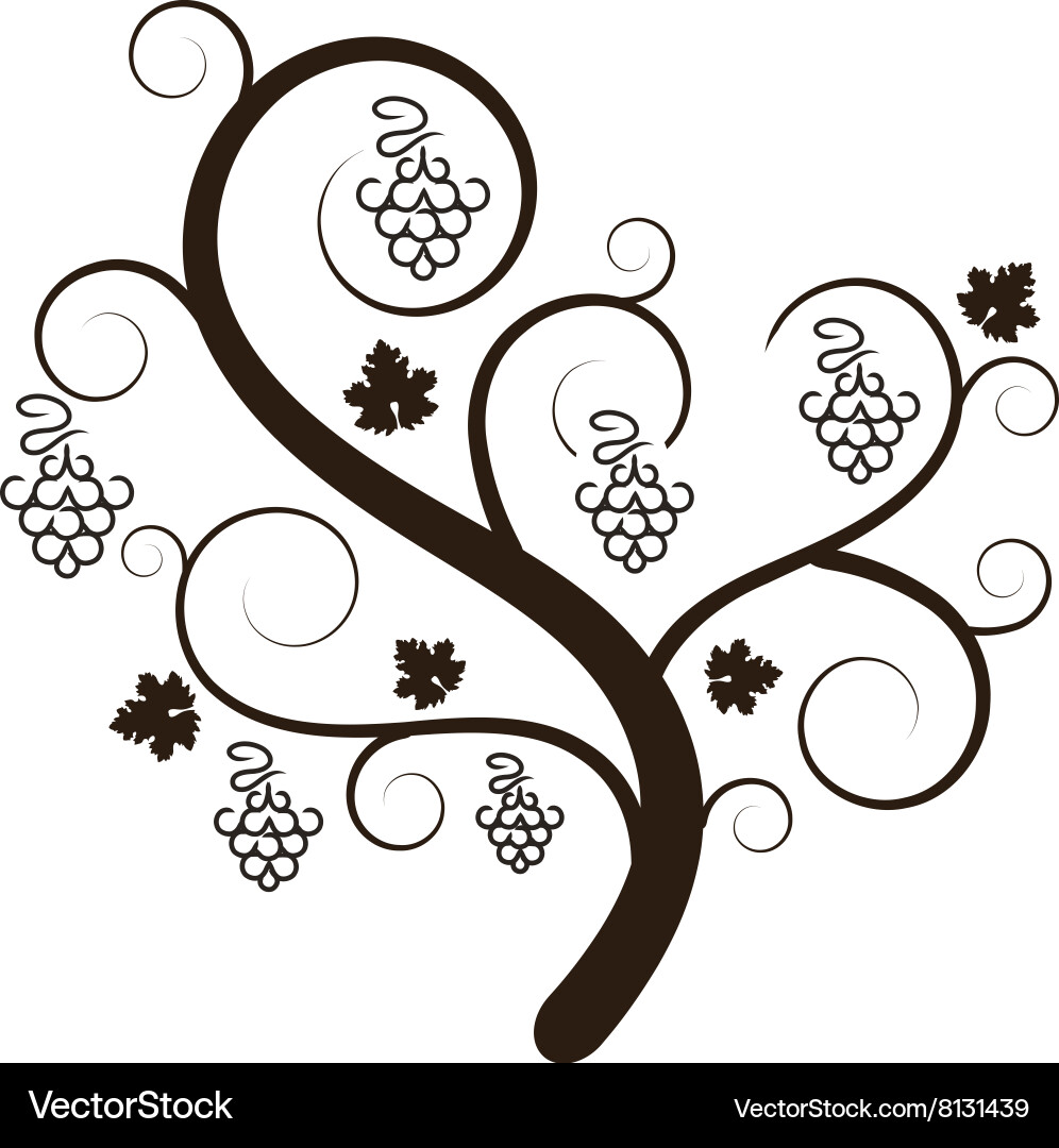 Grape-tree Royalty Free Vector Image - VectorStock