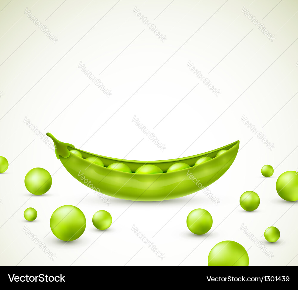 Green peas Royalty Free Vector Image - VectorStock