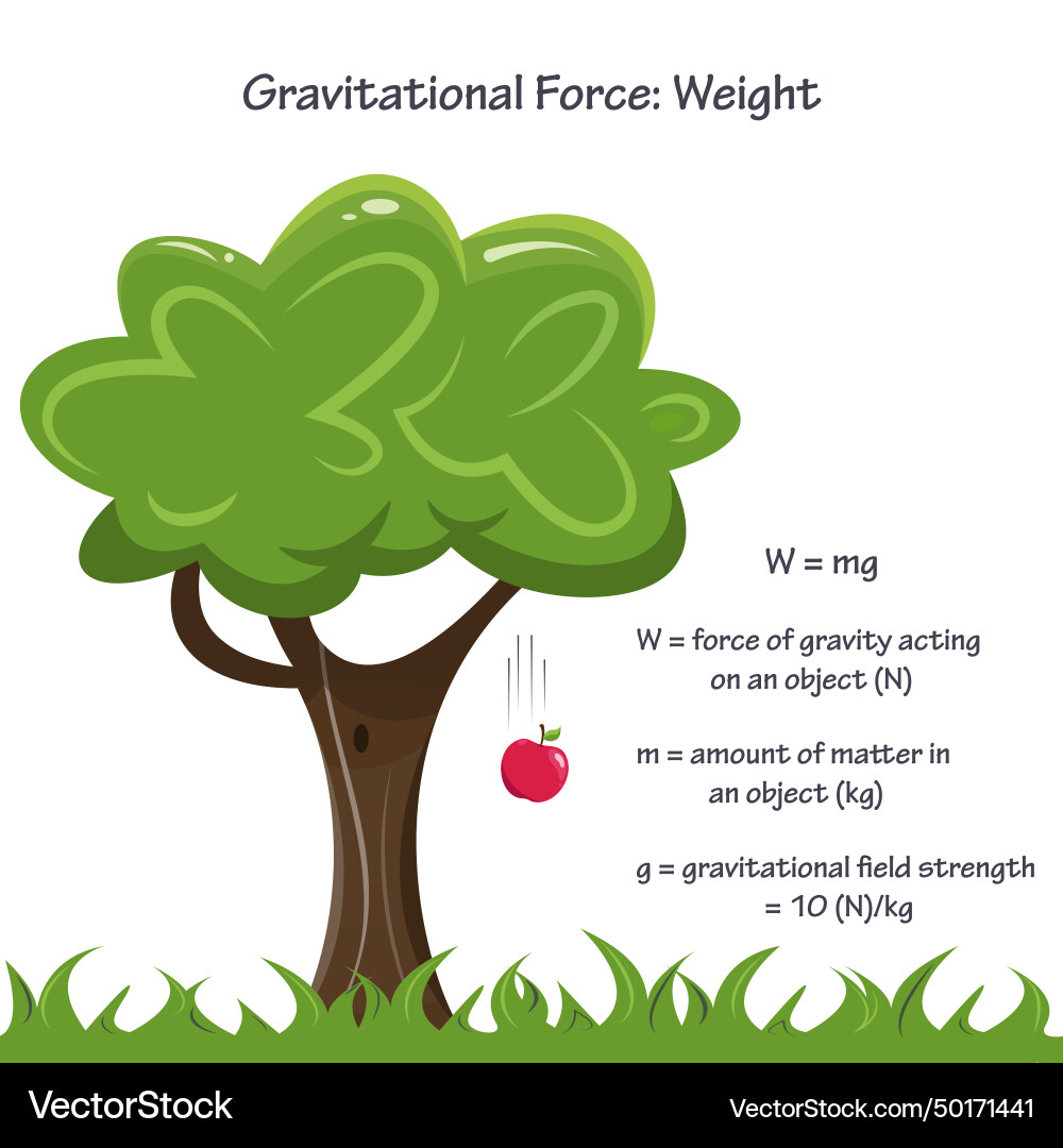 Gravity and Weight: A Physics Overview Royalty Free Vector