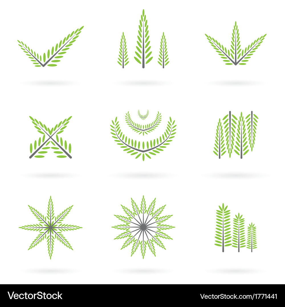 Green symbol design Royalty Free Vector Image - VectorStock