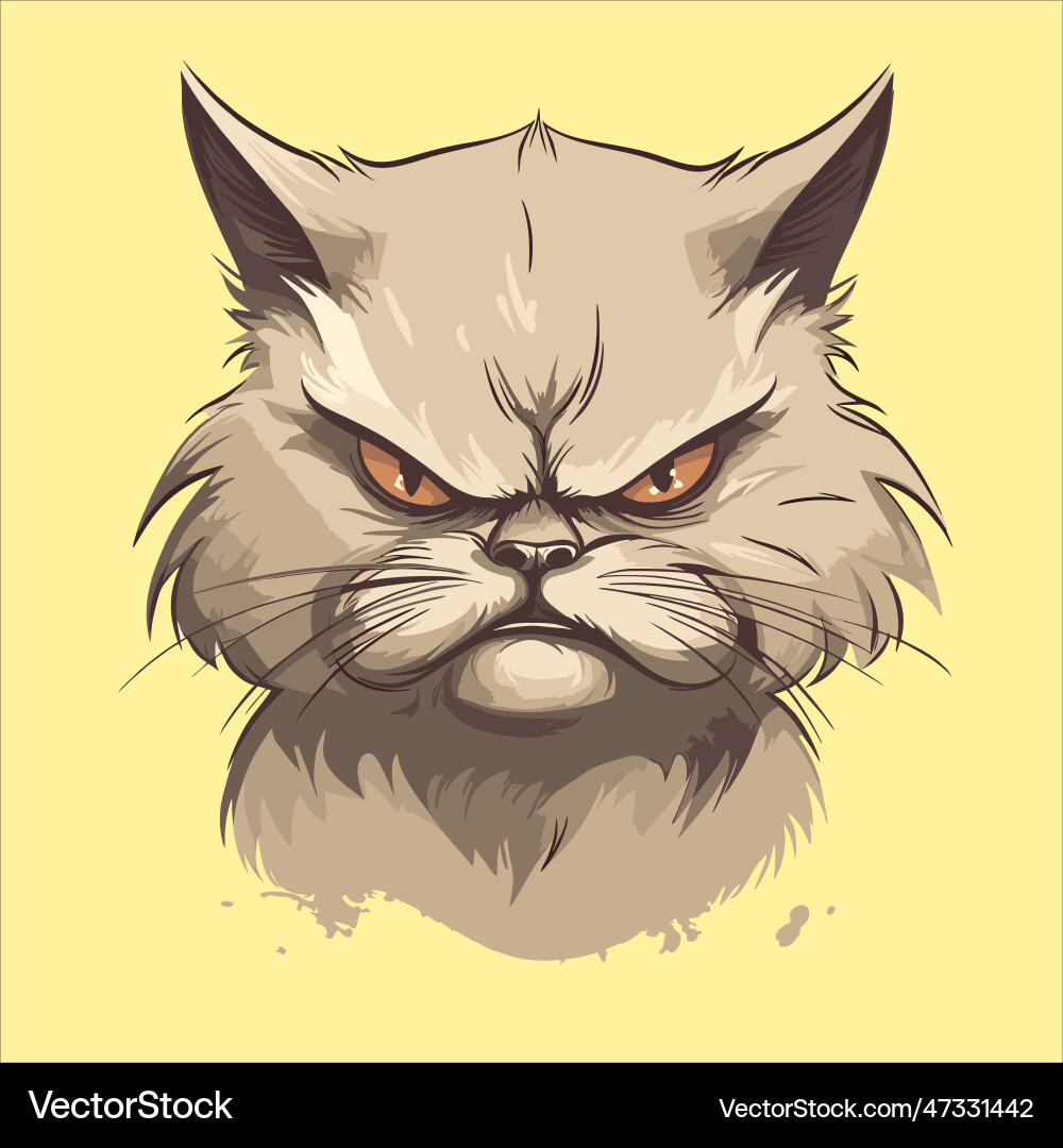Angry Cat Face Royalty Free Vector Image - VectorStock