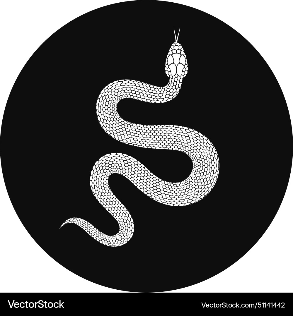 Snake Royalty Free Vector Image - VectorStock
