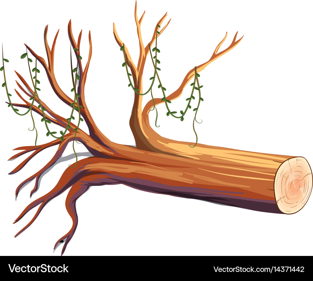 Wooden log with vine Royalty Free Vector Image