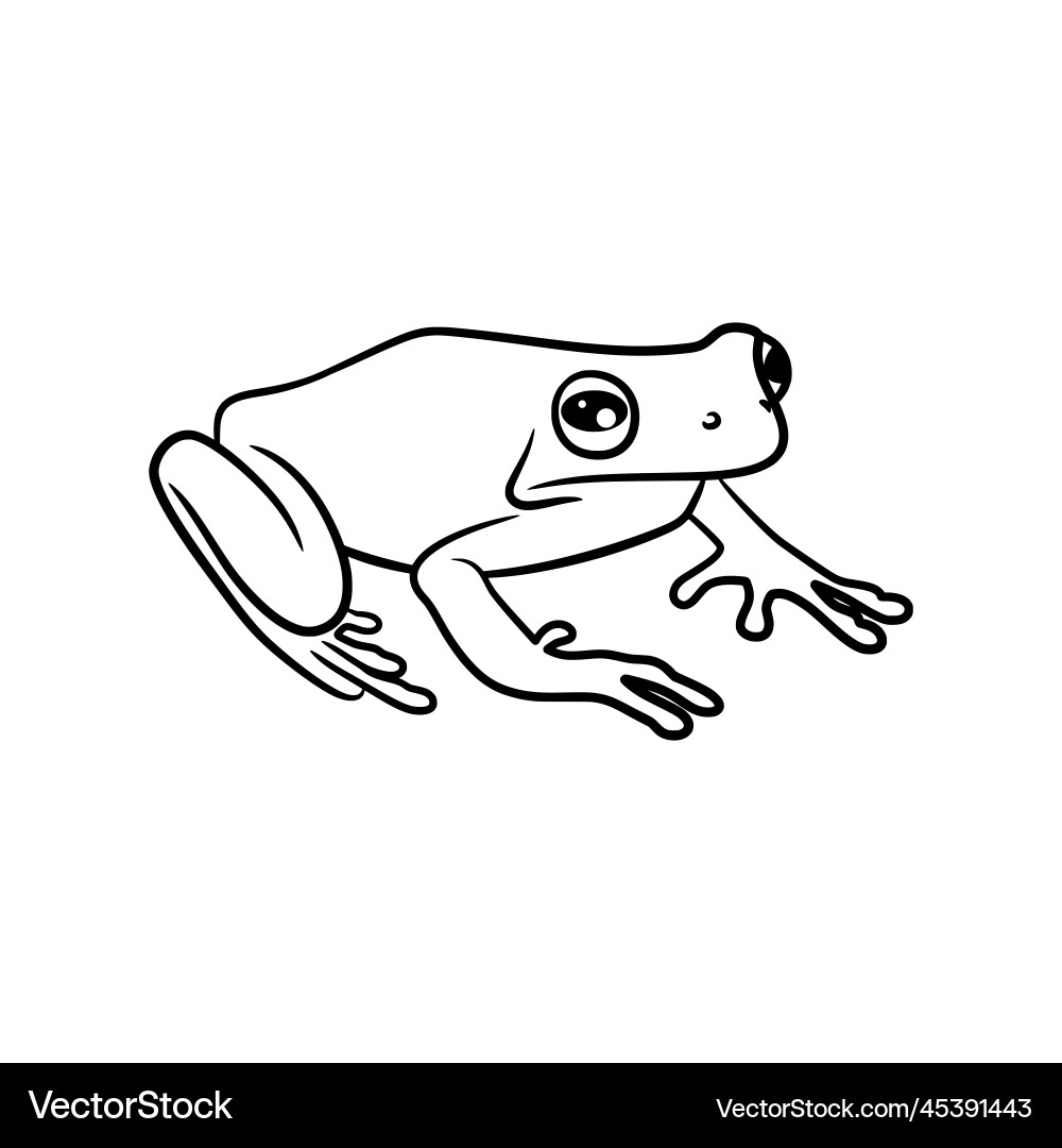 Frog line art drawing Royalty Free Vector Image
