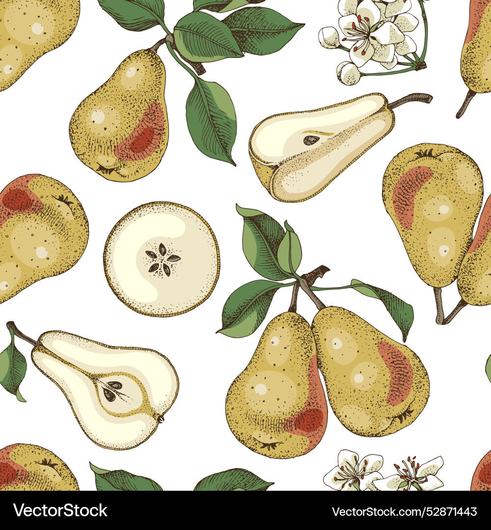 Pears seamless pattern Royalty Free Vector Image