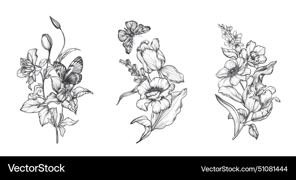 Set of three beautiful hand drawn Royalty Free Vector Image
