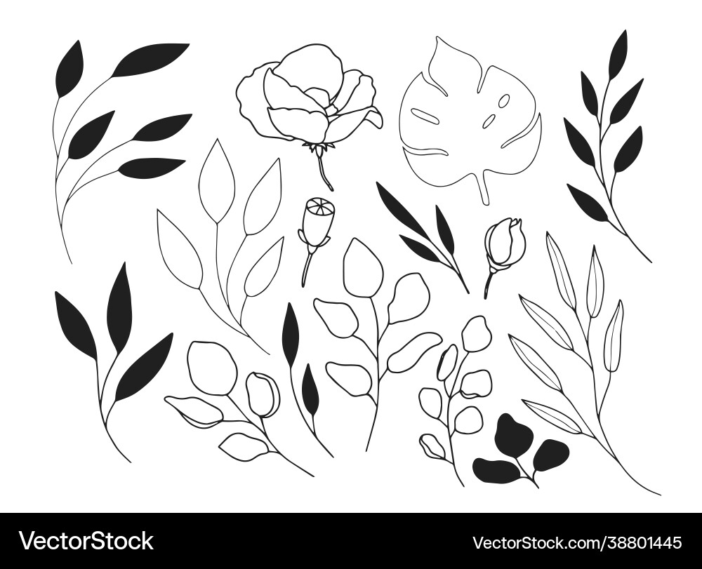 Florals line art sketch foliage set Royalty Free Vector
