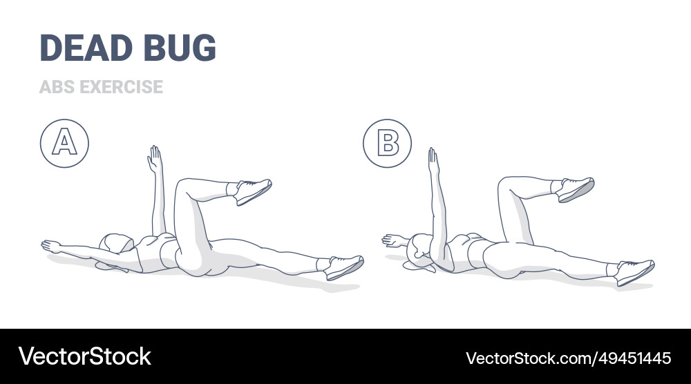Woman Performing Dead Bug Exercise Royalty Free Vector Image