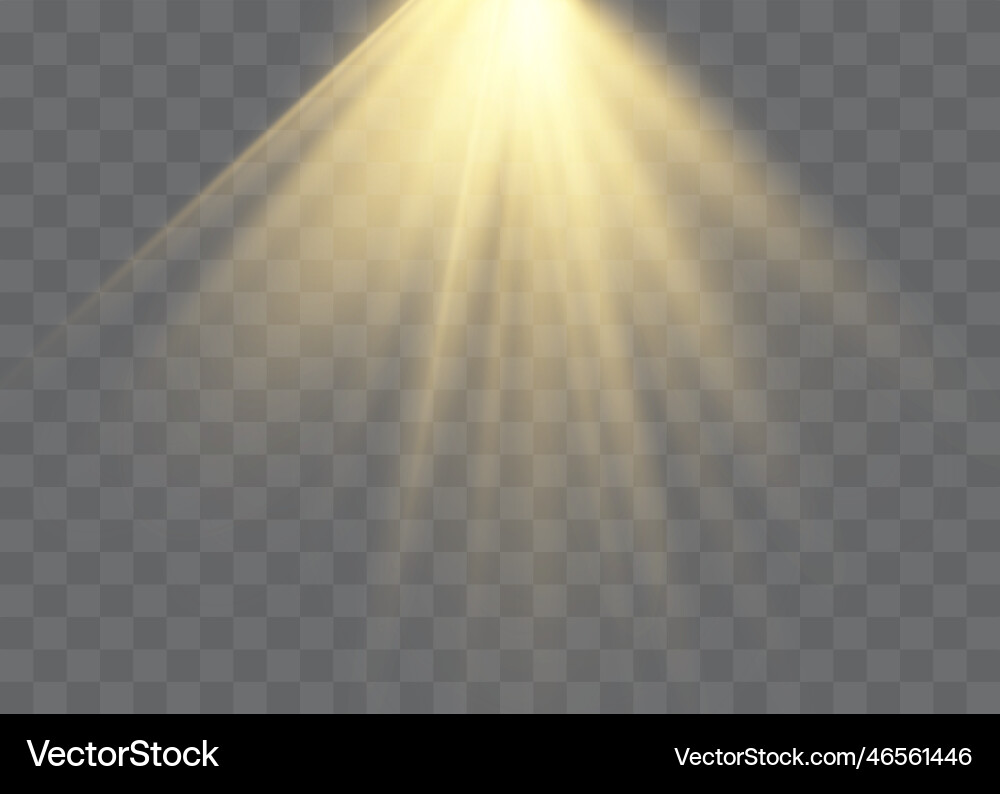 Transparent sunlight special lens flash Royalty Free Vector